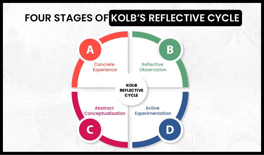 What Is Kolb Reflective Cycle | Here's An Ultimate Guide