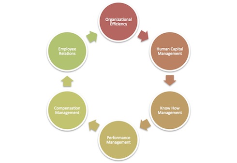 Best Online Management Assignment Help by Expert Writers