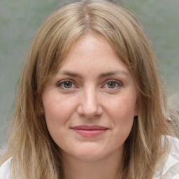 Best Management Assignment Help By Ph.d Experts @ 50% Off